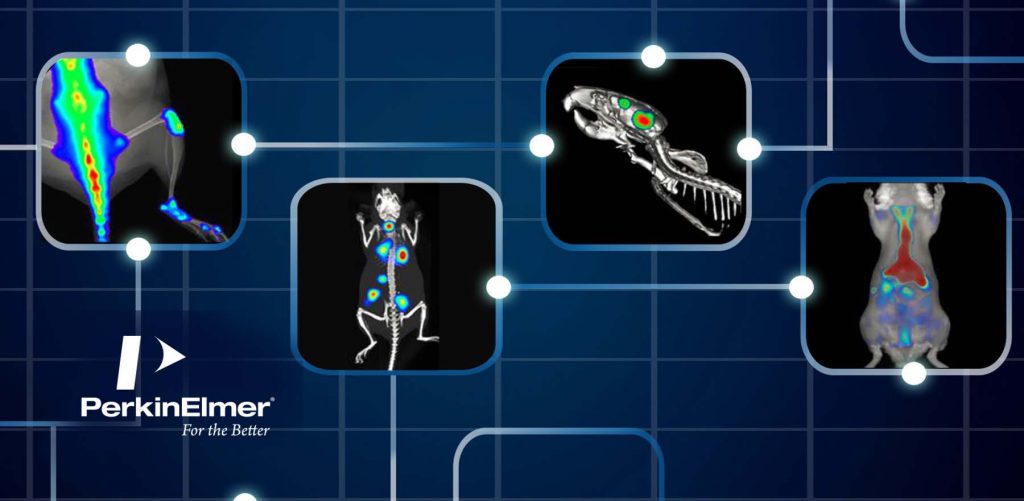 Learning about micro CT imaging and high-throughput technologies with ...